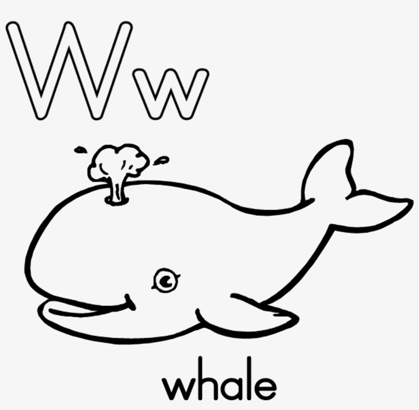 Whale To Color - Alphabet W Coloring Pages - 2000x2024 PNG Download ...