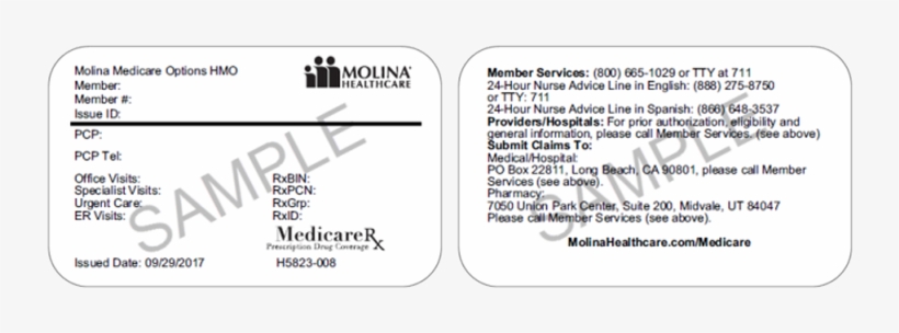 Member Id Card Sample - Customized South Carolina State Fast Fan W ...