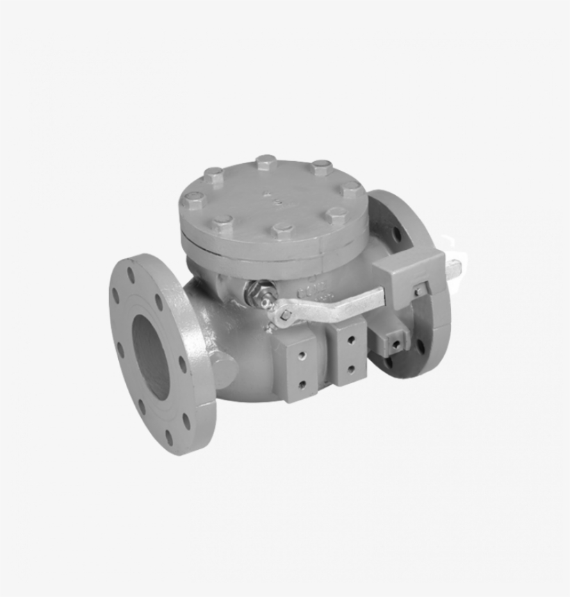 Mueller® 2"-12" Swing Type Lever And Weight Check Valves - 850x850 PNG ...