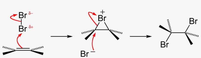 Two Arrows Are Shown In This Mechanism - Bromine Addition To Alkene ...