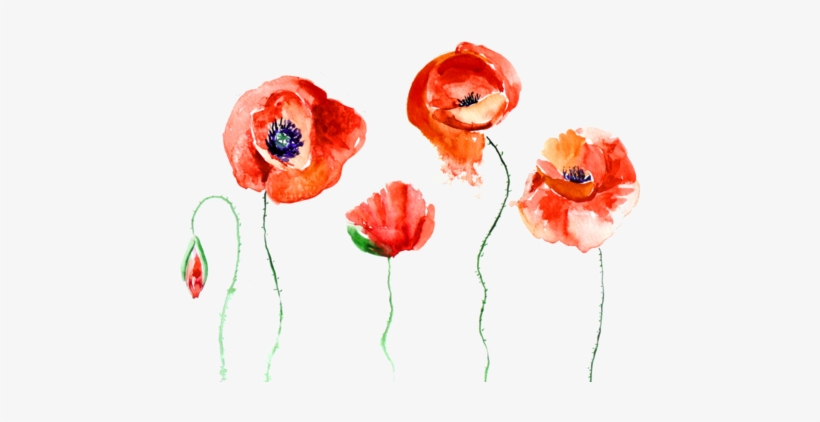 Sohi - Still Death Still Life [book] - 500x346 PNG Download - PNGkit