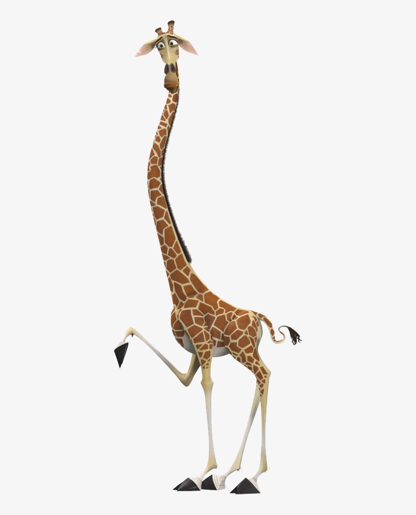 Download - Melman Madagascar - 372x935 PNG Download - PNGkit
