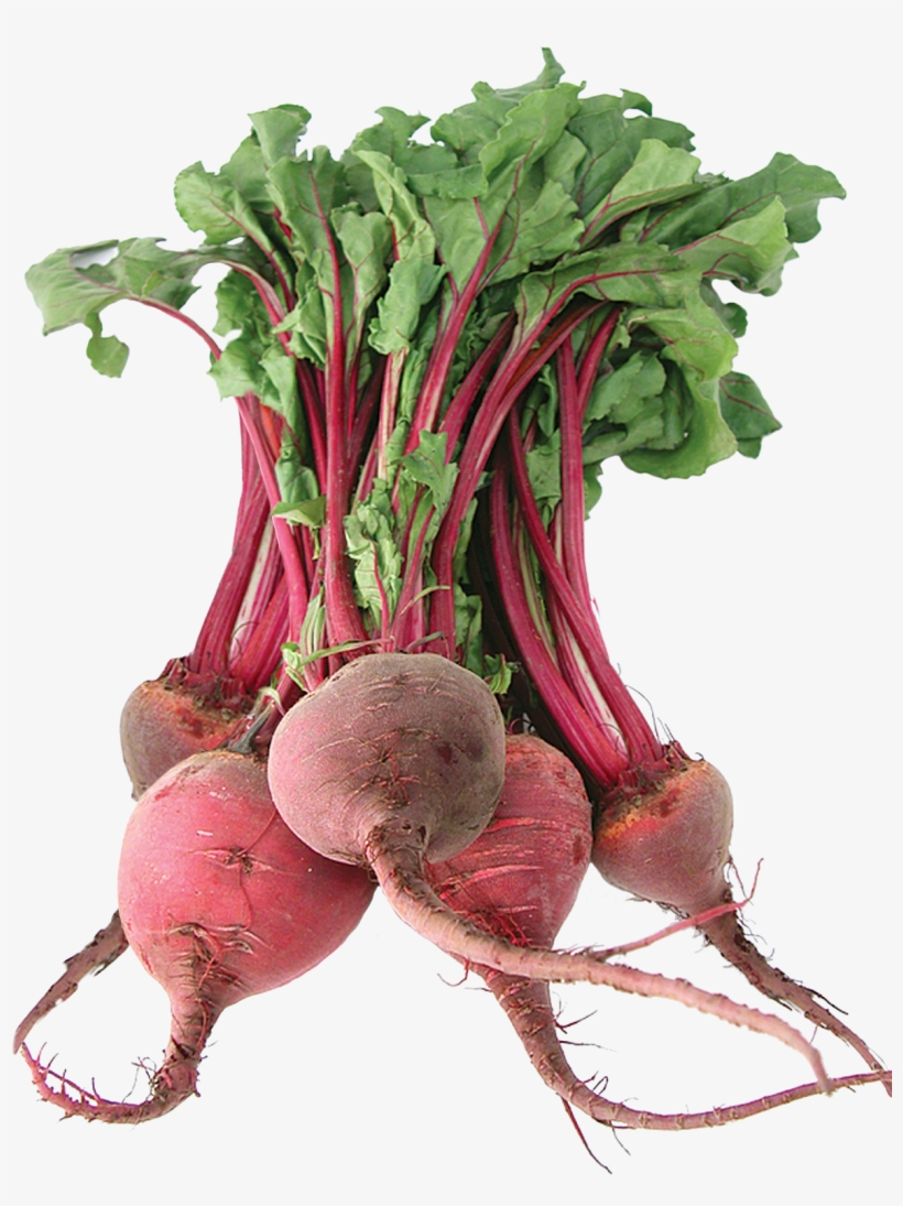 Beets With Roots - 1181x1575 PNG Download - PNGkit