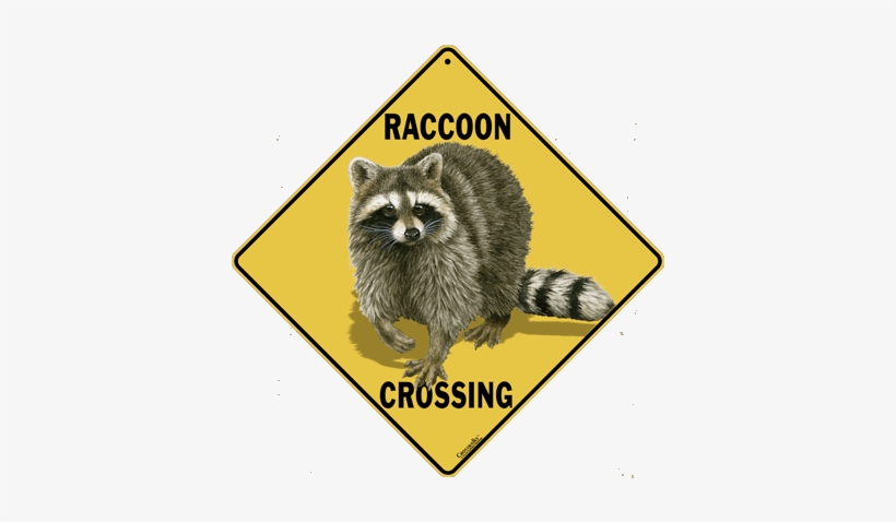 Raccoon Crossing - Crossing Sign - 420x420 PNG Download - PNGkit