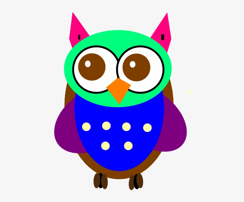 Download Transparent Owl Clipart Colorful - Cartoon Picture Of ...