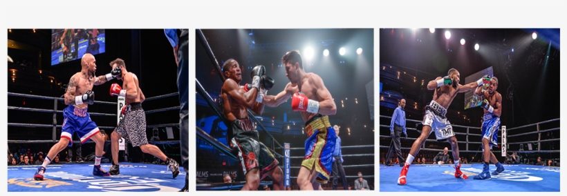 Ishe Smith Vs - Professional Boxing - 1000x332 PNG Download - PNGkit