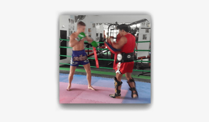 Training 1 - Professional Boxing - 391x400 PNG Download - PNGkit