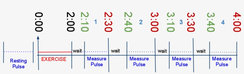 Pulse & Heart Rate - Diagram - 916x310 PNG Download - PNGkit