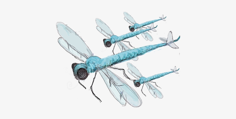 First World War Flying Machines - Net-winged Insects - 450x334 PNG ...