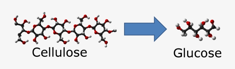 Cellulose To Glucose 750 - Conversion Of Glucose To Cellulose - 750x192 ...