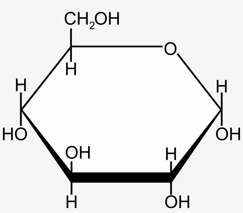 Glucose Png - 2400x1989 PNG Download - PNGkit