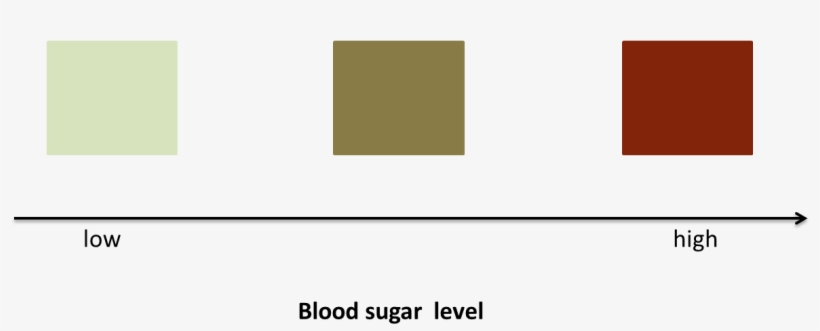 Blood Sugar Level - Colorfulness - 1201x444 PNG Download - PNGkit