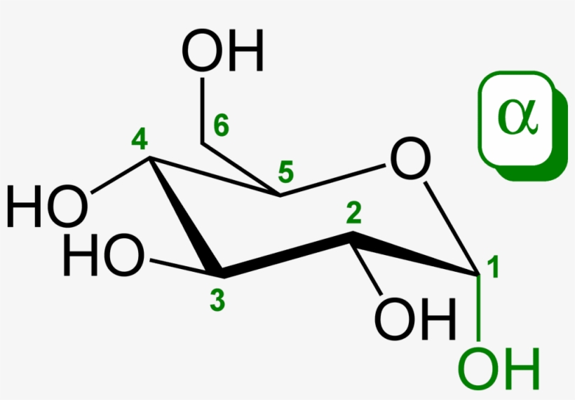 In 3d Terms, Glucose Molecules, When Cyclised Exist - D Glucose ...