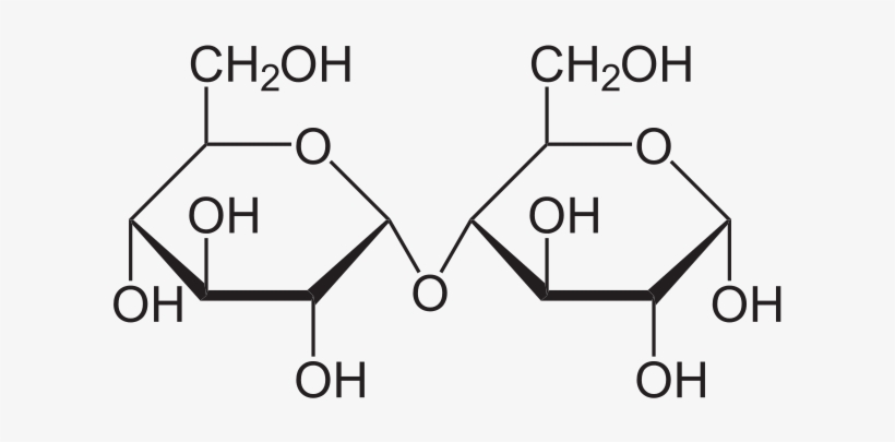 Cellobiose Structure