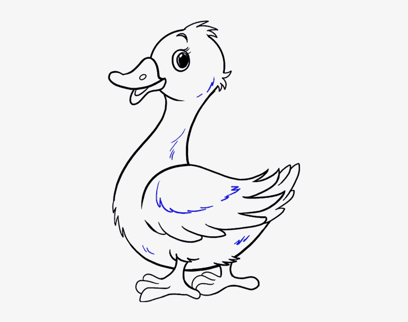Pato Drawing