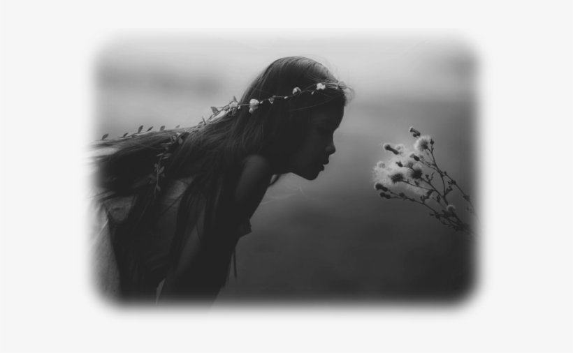 Download Transparent How Incarnated Angels Intuitively Do Angel Work ...