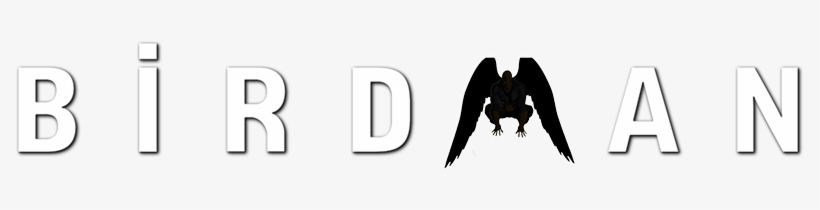 Birdman Image - Birdman Movie Logo Png - 800x310 PNG Download - PNGkit