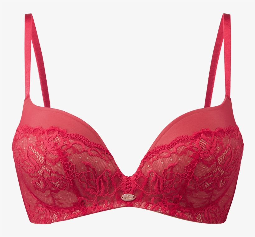 Bras Red - 800x1000 PNG Download - PNGkit
