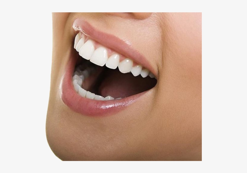 Smile Teeth Png Download - Adult Teeth - 660x495 PNG Download - PNGkit