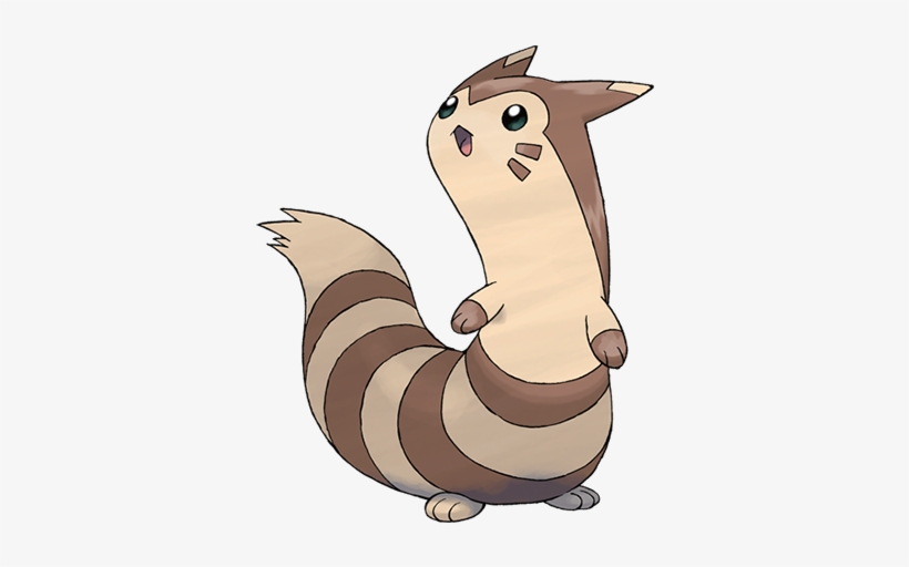 Httpassets - Pokemon - - Furret Pokemon - 475x475 PNG Download - PNGkit