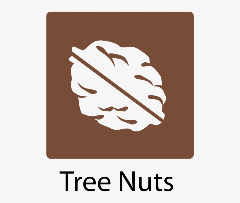 Nut Icon - Tree Nut Icon - 504x615 PNG Download - PNGkit