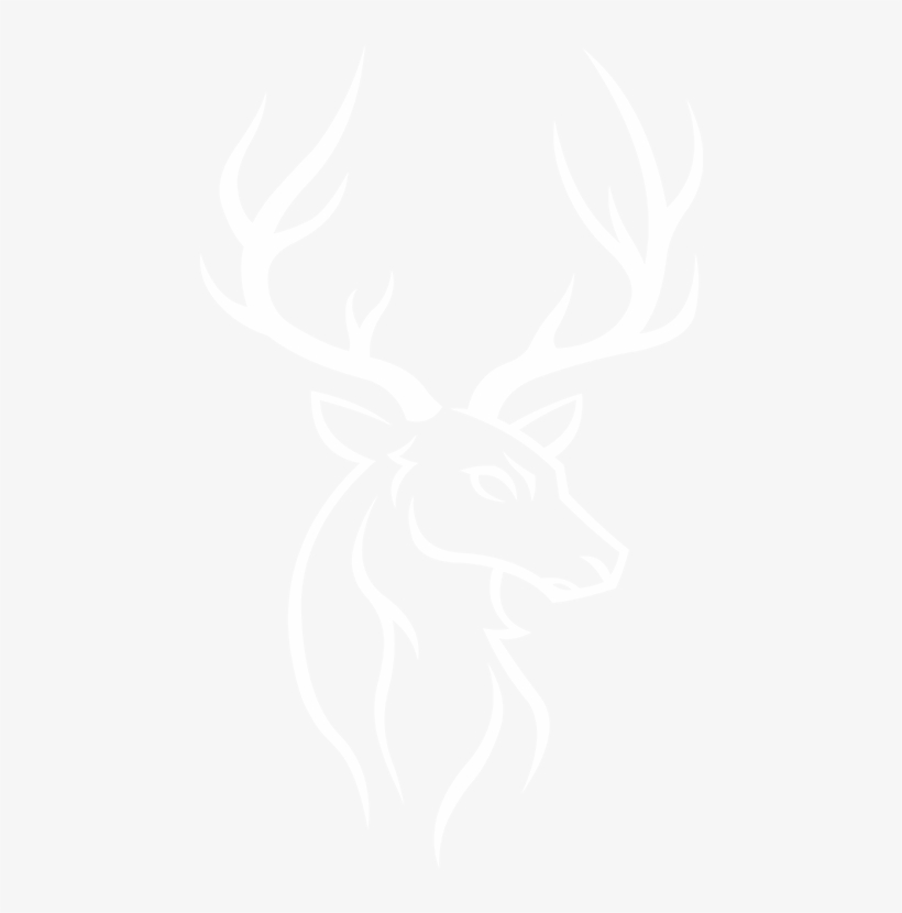 White Background Instagram Size - 809x809 PNG Download - PNGkit