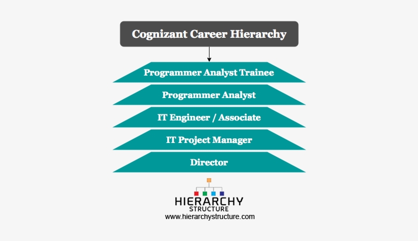 Download Transparent Organisational Structure Of Cognizant - PNGkit