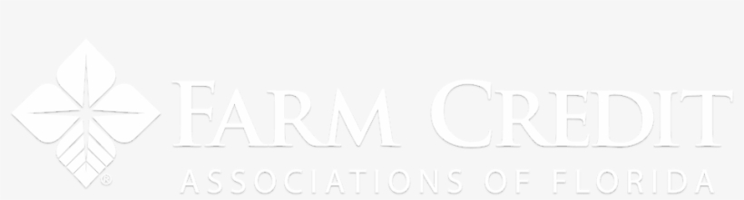 Farm Credit Of Florida - Snow Peak Logo - 1000x215 PNG Download - PNGkit