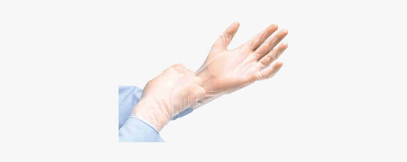 Cardinal Health Instagard Vinyl Exam Gloves - Cardinal Health Instagard ...