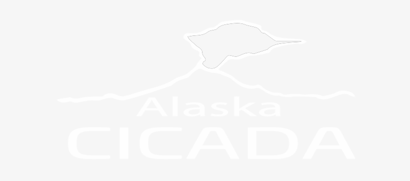 Cicada Cicada Cicada - Cicadoidea - 600x283 PNG Download - PNGkit
