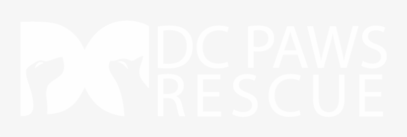 Dc Paws Rescue Dc Paws Rescue - Parents Banner - 896x233 PNG Download ...