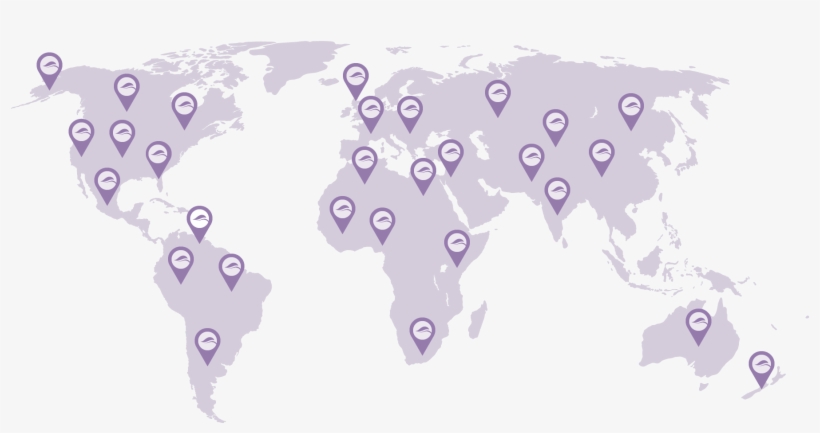 Save Our Bones - Us Foreign Relations Map - 1802x864 PNG Download - PNGkit