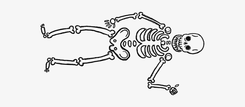 Skeleton Doodle - 549x280 PNG Download - PNGkit