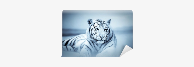 Sonstige Wanduhr Weißer Tiger Liegend Figur Raubtier - 400x400 PNG ...