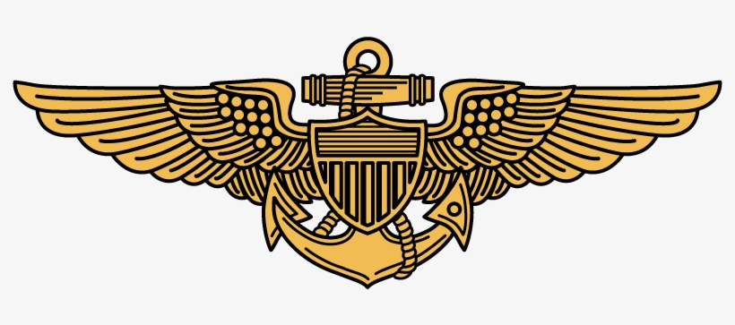 Pilot Wings - Colored - Golden Eagle - 800x800 PNG Download - PNGkit