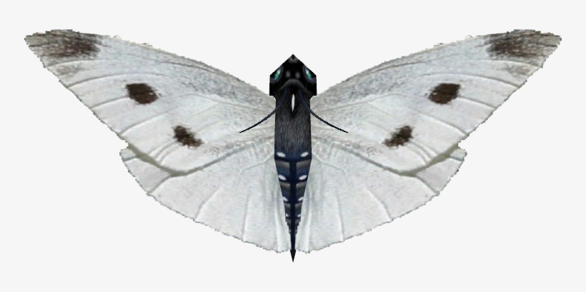 Ambient Small White Butterfly - Moth - 752x752 PNG Download - PNGkit
