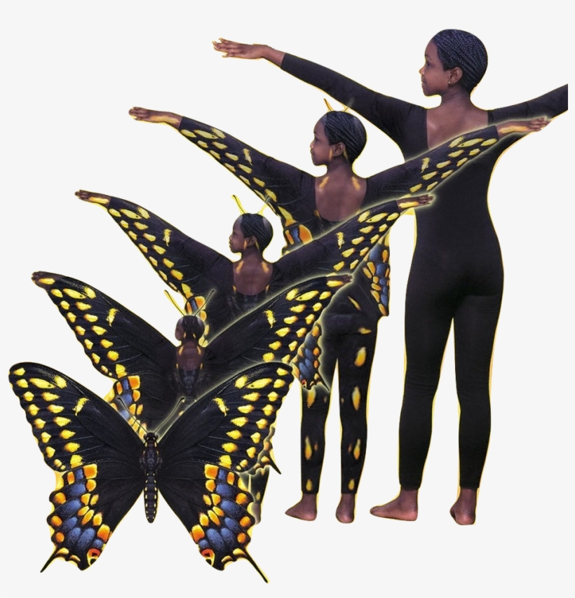 Animorphs 19 Transparent Pngs The Depature By Dylandawaffleking ...