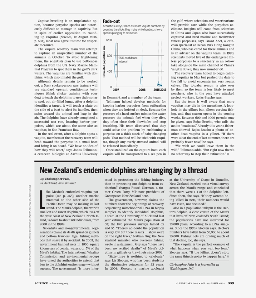 Skybax Rider - 729x929 PNG Download - PNGkit