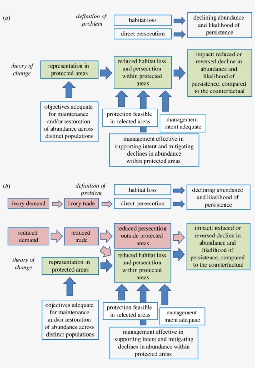 Red Wolf, Canis Rufus - Theory Of Change Diagram Biodoversity ...