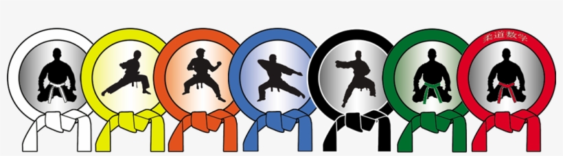 This Is A Pic Of All The Belts For Every Discipline - Judo - 1046x240 ...