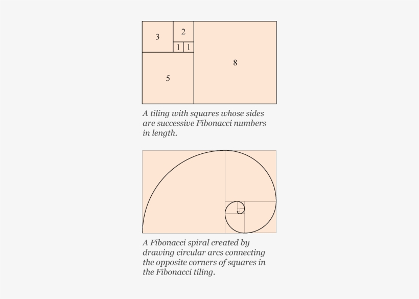 Download Transparent Golden Ratio - Design - PNGkit