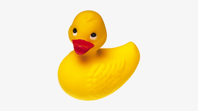 Duck Png Available In Different Size - Things That Are Color Yellow ...