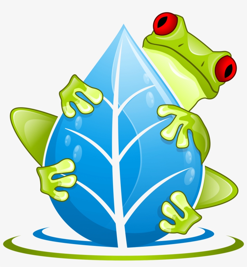 The Swamp School Just Frog Png - Frog Falling Down Png - 1424x1466 PNG ...