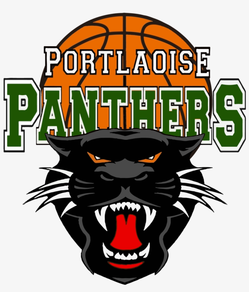 Panthers Logo Png - 1000x1115 PNG Download - PNGkit