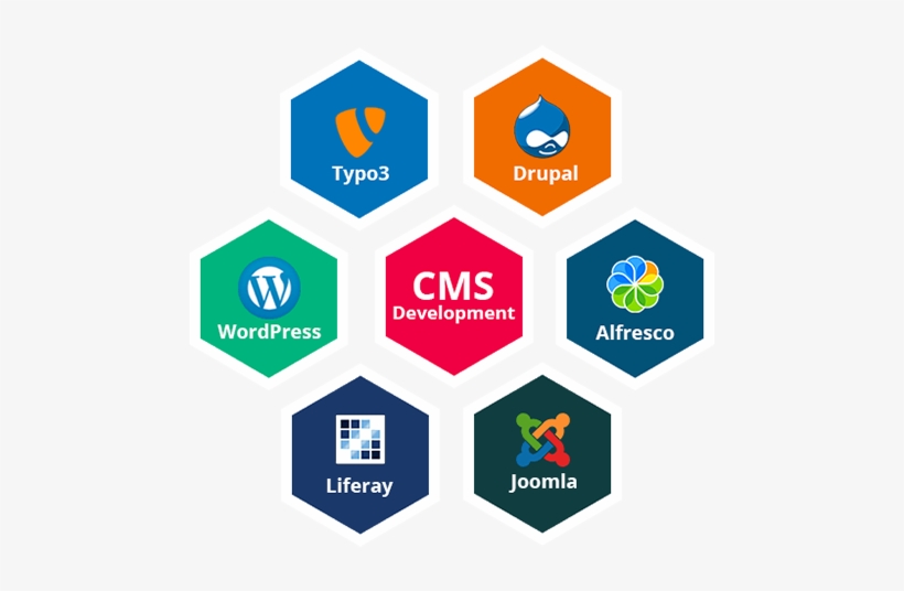 Cms Development - Wordpress - 555x471 PNG Download - PNGkit