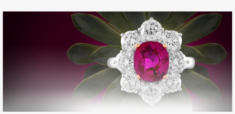 Precious Gems Collection - Ruby - 1600x700 PNG Download - PNGkit
