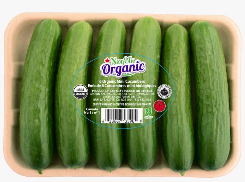 Cucumber 6 Pack - Organic Mini Cucumbers - 3600x2400 PNG Download - PNGkit