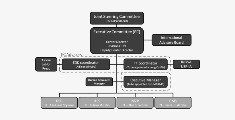 Governance Structure For The Cine - Organization - 600x400 PNG Download ...