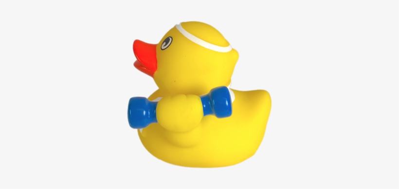 Workout Rubber Duck Ducks In The Window - Duck - 500x500 PNG Download ...