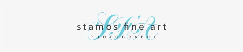 Photography Site - Calligraphy - 490x350 PNG Download - PNGkit